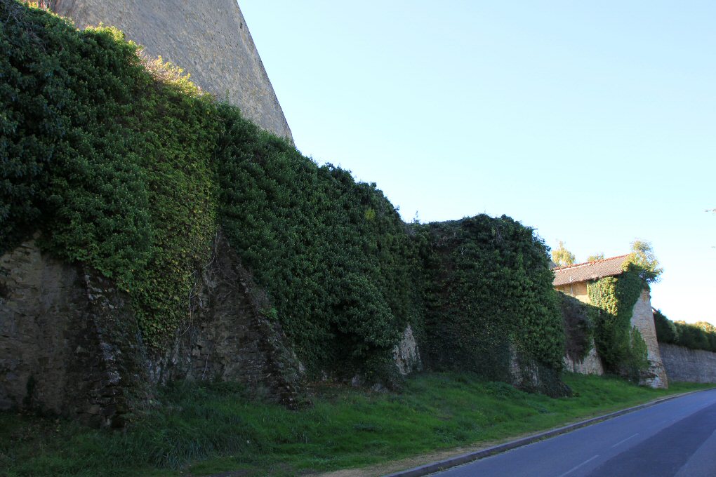 chateau de Roussy le Village, visible de l'extérieur